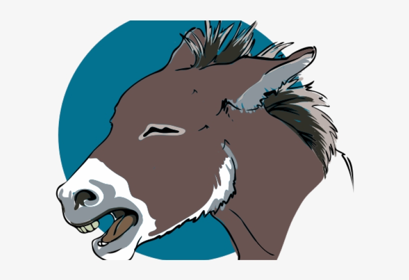 Donkey Head Png - Free Transparent PNG Download - PNGkey