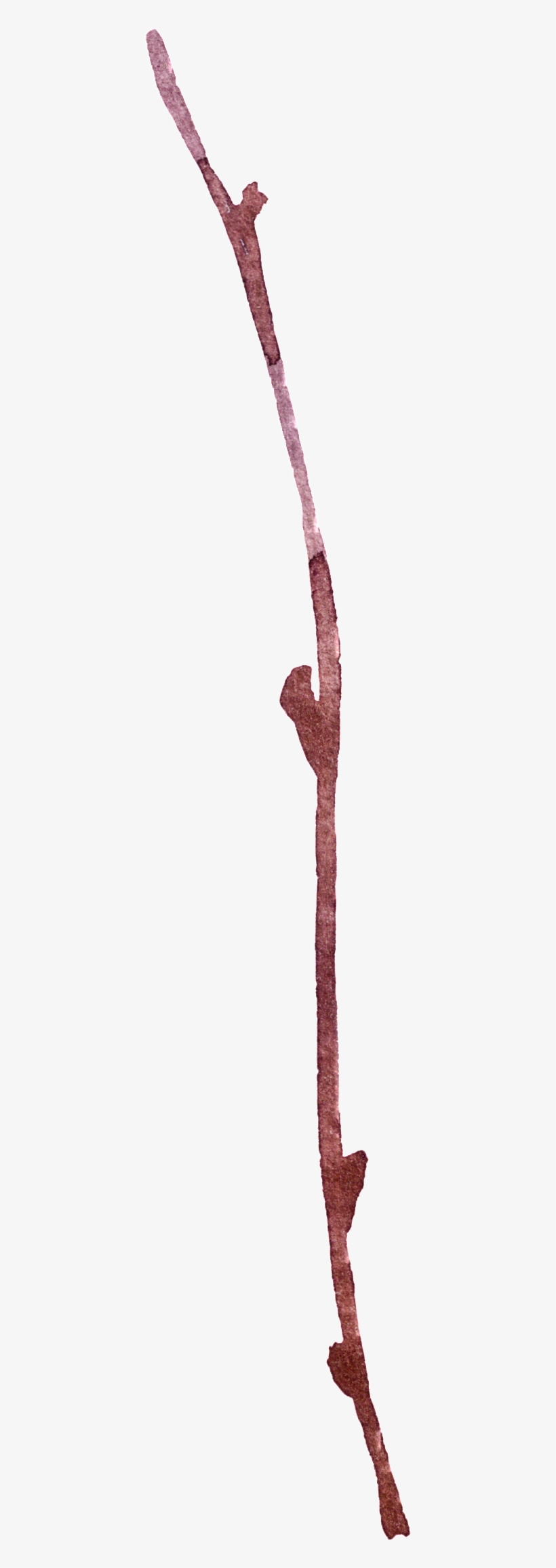 Brown Red Twig Watercolor Hand Drawn Cartoon Transparent - Twig - Free ...