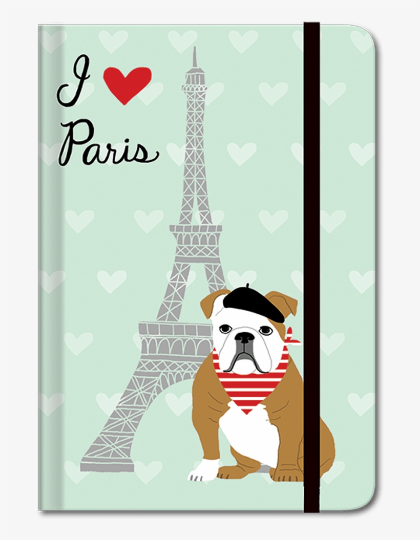 35572 - Free Transparent PNG Download - PNGkey