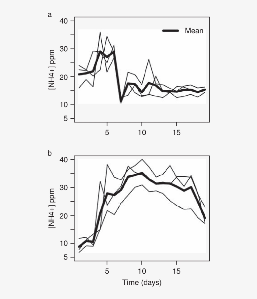 Ammonia Concentration Dynamics - Drawing - Free Transparent PNG ...