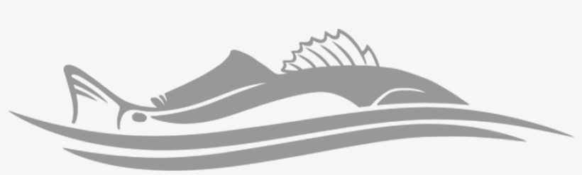 Redfish - Free Transparent PNG Download - PNGkey