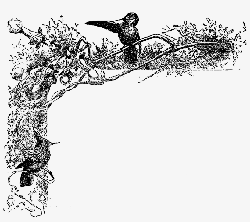 Bird Digital Corner Design - Corner Design Png - Free Transparent PNG ...