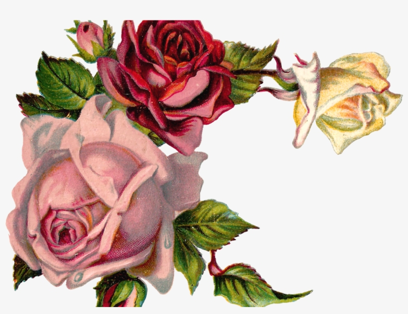 Free Digital Flower Pink Rose Corner Design - Vintage Rose Corner Png ...