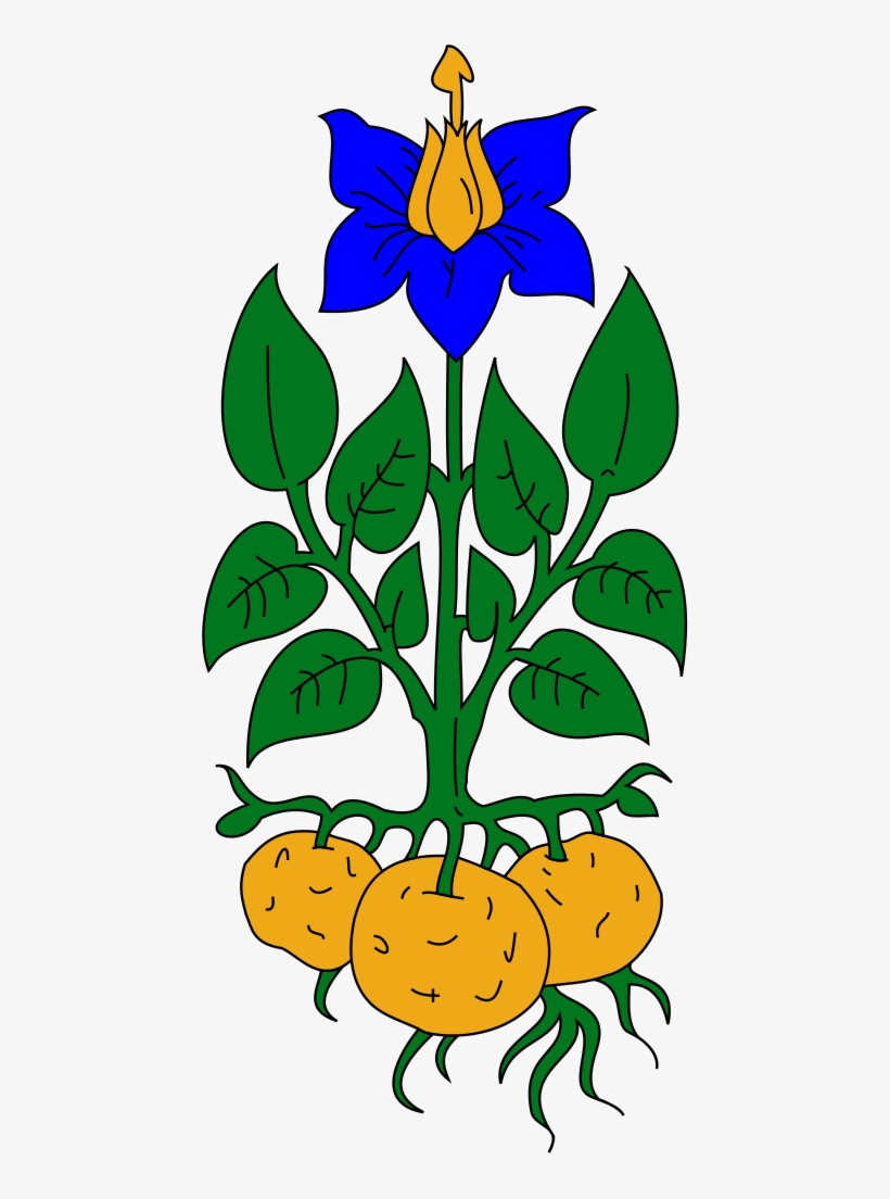 Heraldic Potato Plant - Potato Plant Clip Art - Free Transparent PNG ...