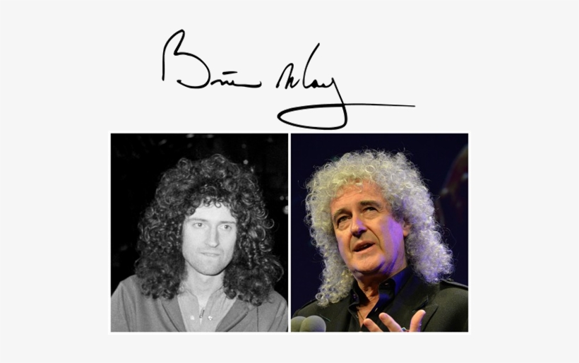 Brian May Hair - Free Transparent PNG Download - PNGkey