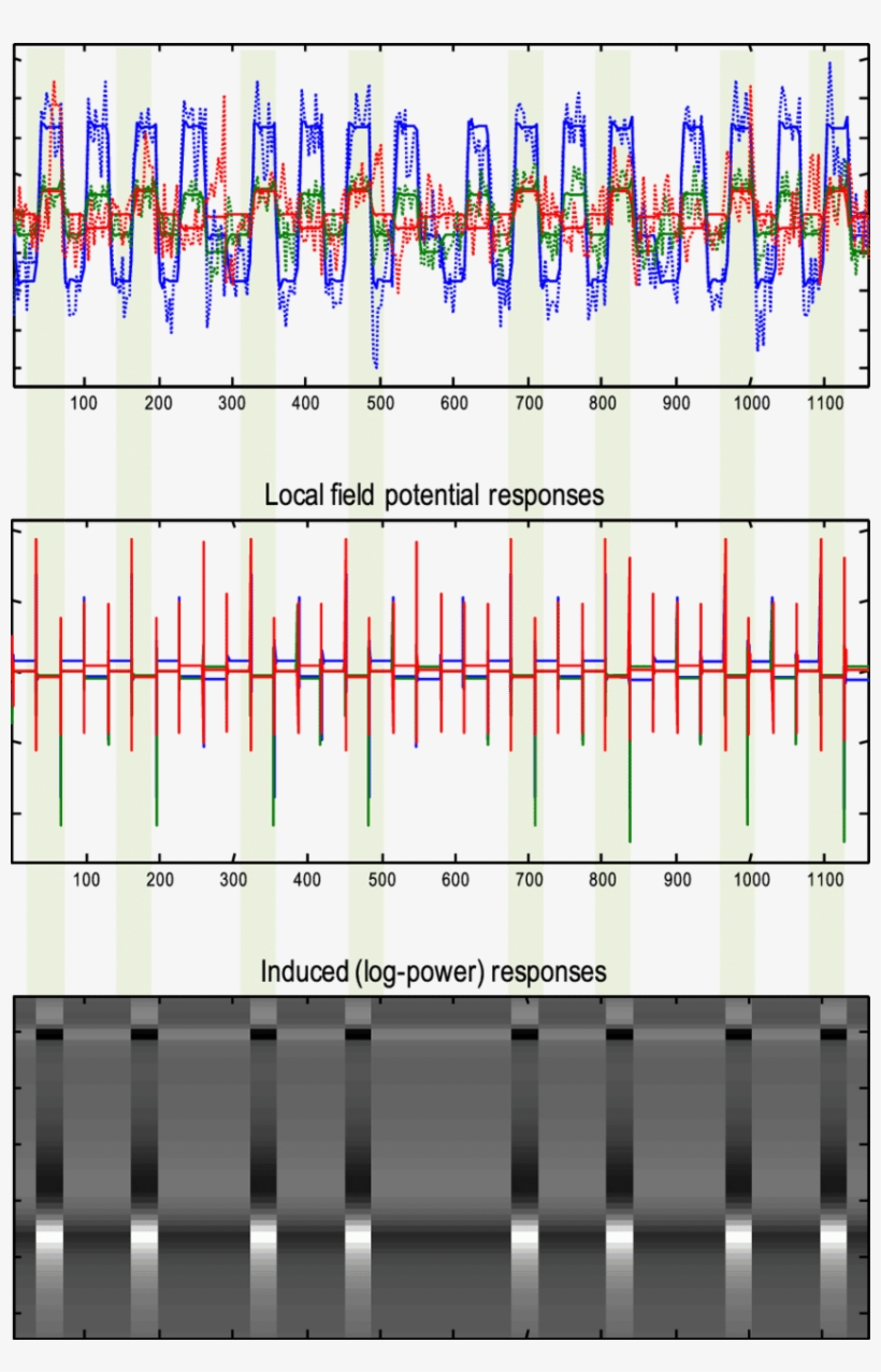 This Figure Shows The Predicted And Observed Bold Responses - Plot ...
