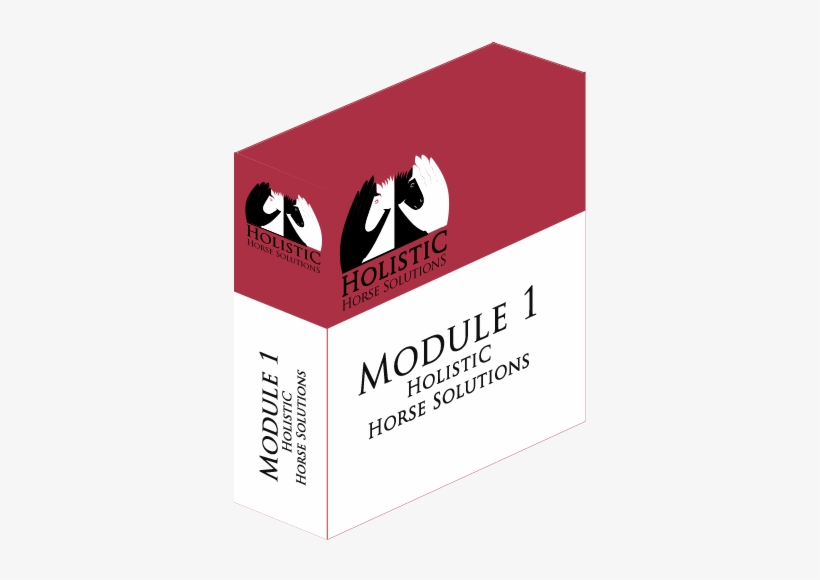 Course Outline - Course - Free Transparent PNG Download - PNGkey