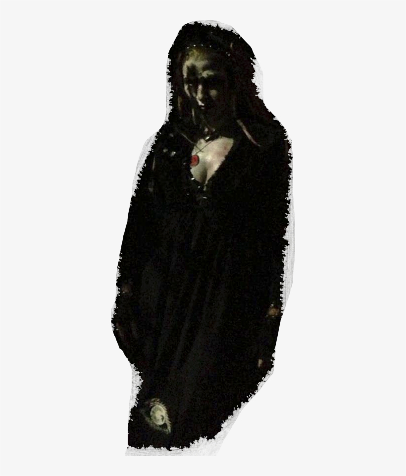 Cat - Free Transparent PNG Download - PNGkey