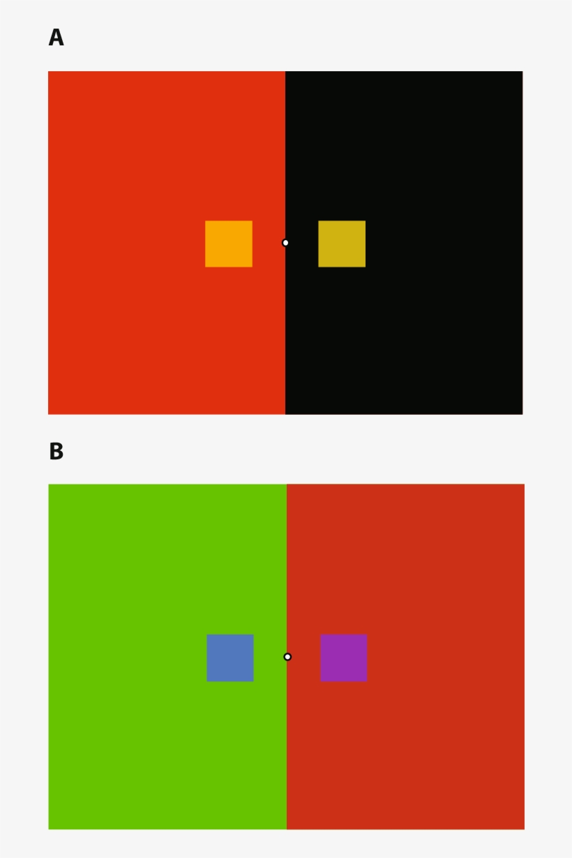 Compare The Direct Images By Fixating On The Small - Graphic Design ...