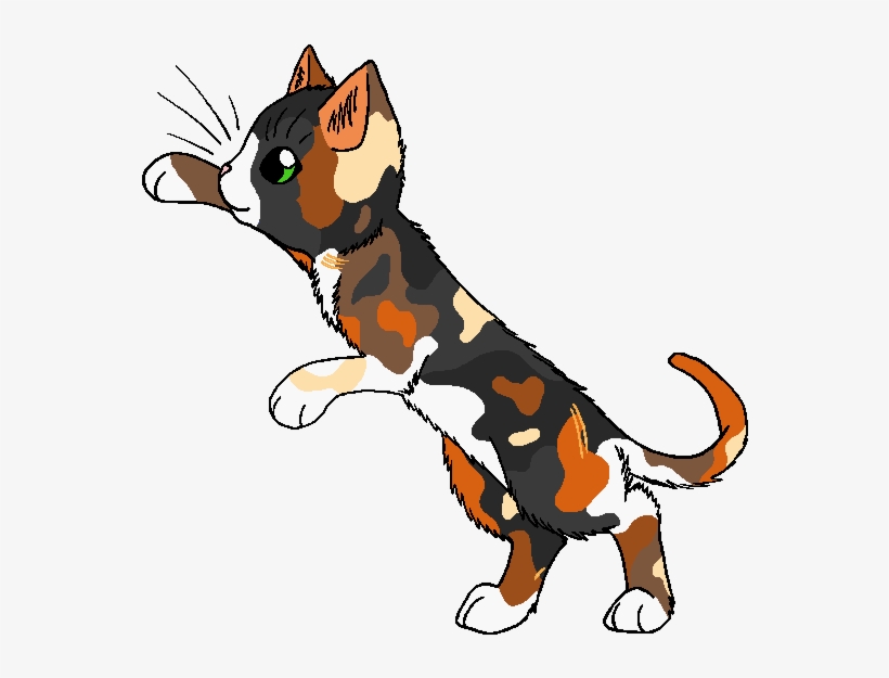 Cherrytail - Cherrytail Warriors - Free Transparent PNG Download - PNGkey