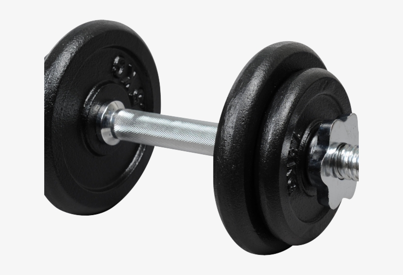 Dumbbells Png Transparent Images - Dumbbell Png - Free Transparent PNG ...