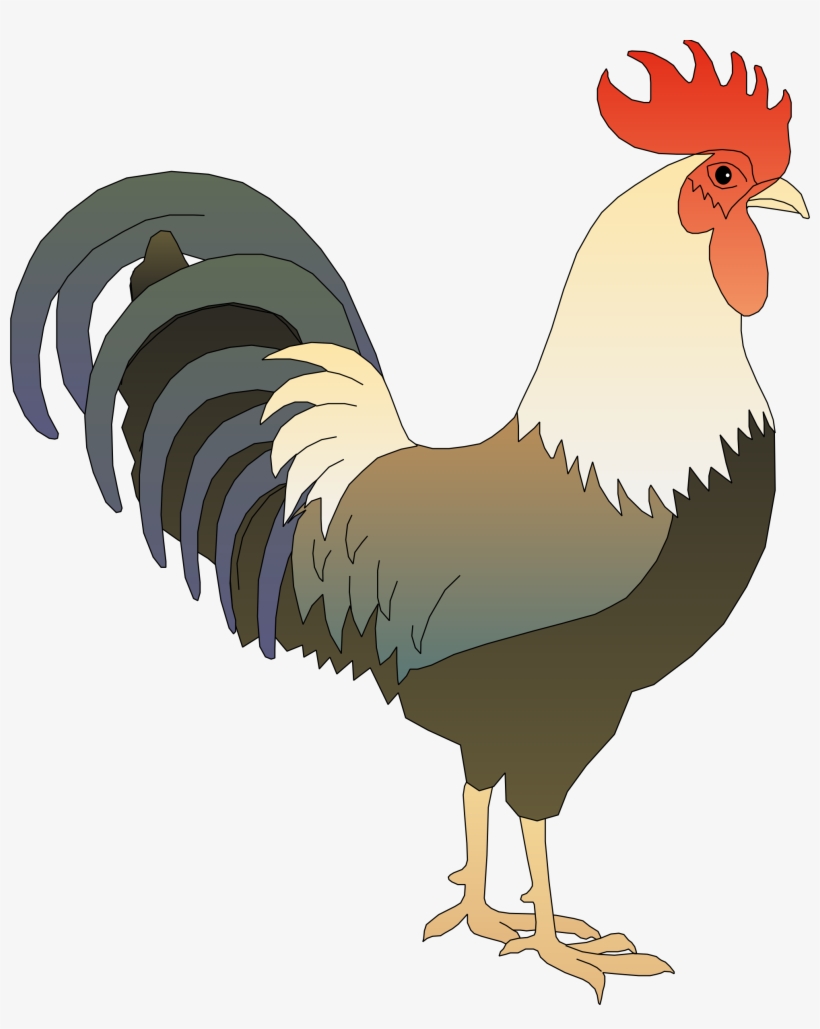 This Free Icons Png Design Of Ayam Jantan - Free Transparent PNG ...