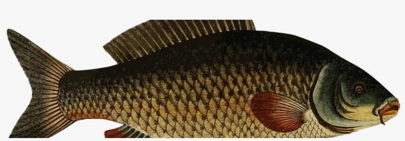 Mocking A Graphql Wrapper Around The Universal Chess - Free Transparent ...