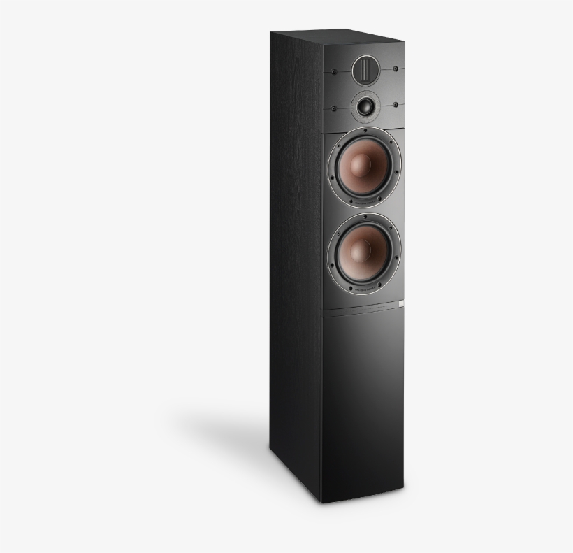 Dali Callisto 6 C Black Finish - Dali Callisto 6 C - Free Transparent ...