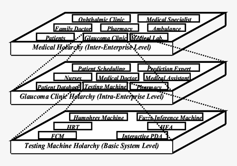 Medical Holarchy - Diagram - Free Transparent PNG Download - PNGkey