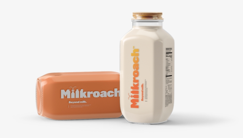 Experience Cock Roach Milk The New Superfood - Design - Free ...