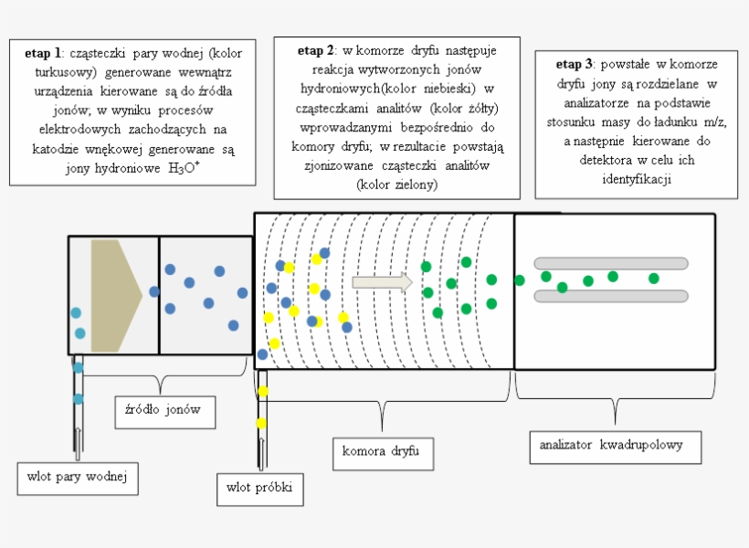 Ptr-ms Z Analizatorem Kwadrupolowym, Schemat - Proton-transfer-reaction ...