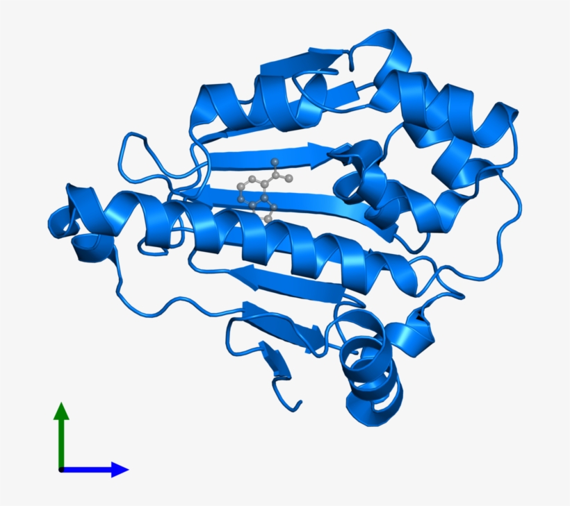 pdb Entry 4fcp Contains 1 - Graphic Design - Free Transparent PNG ...