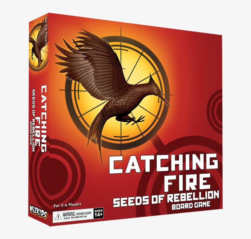 Catching Fire - Free Transparent PNG Download - PNGkey