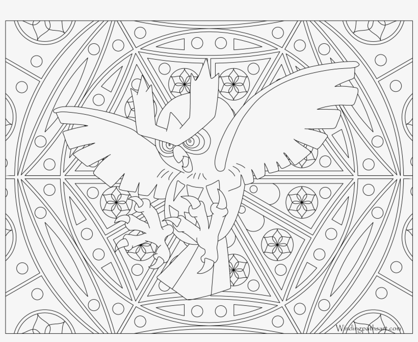 Noctowl - Free Transparent PNG Download - PNGkey