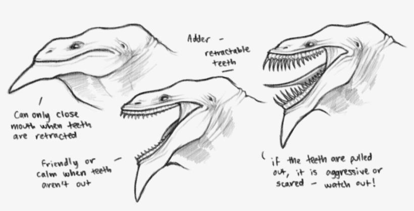 The Adder's Retractable Teeth - Free Transparent PNG Download - PNGkey