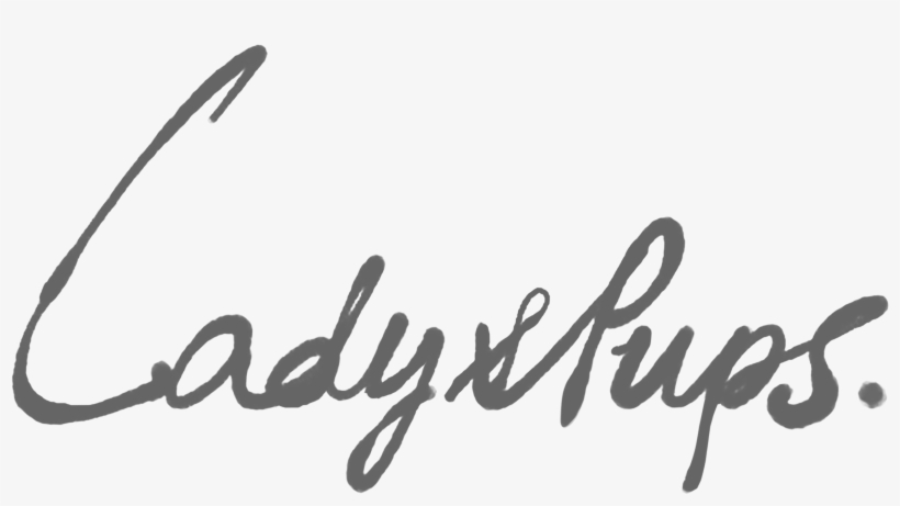 Subscribe - Logo - Free Transparent PNG Download - PNGkey