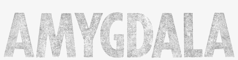 Amygdala Png - Free Transparent PNG Download - PNGkey