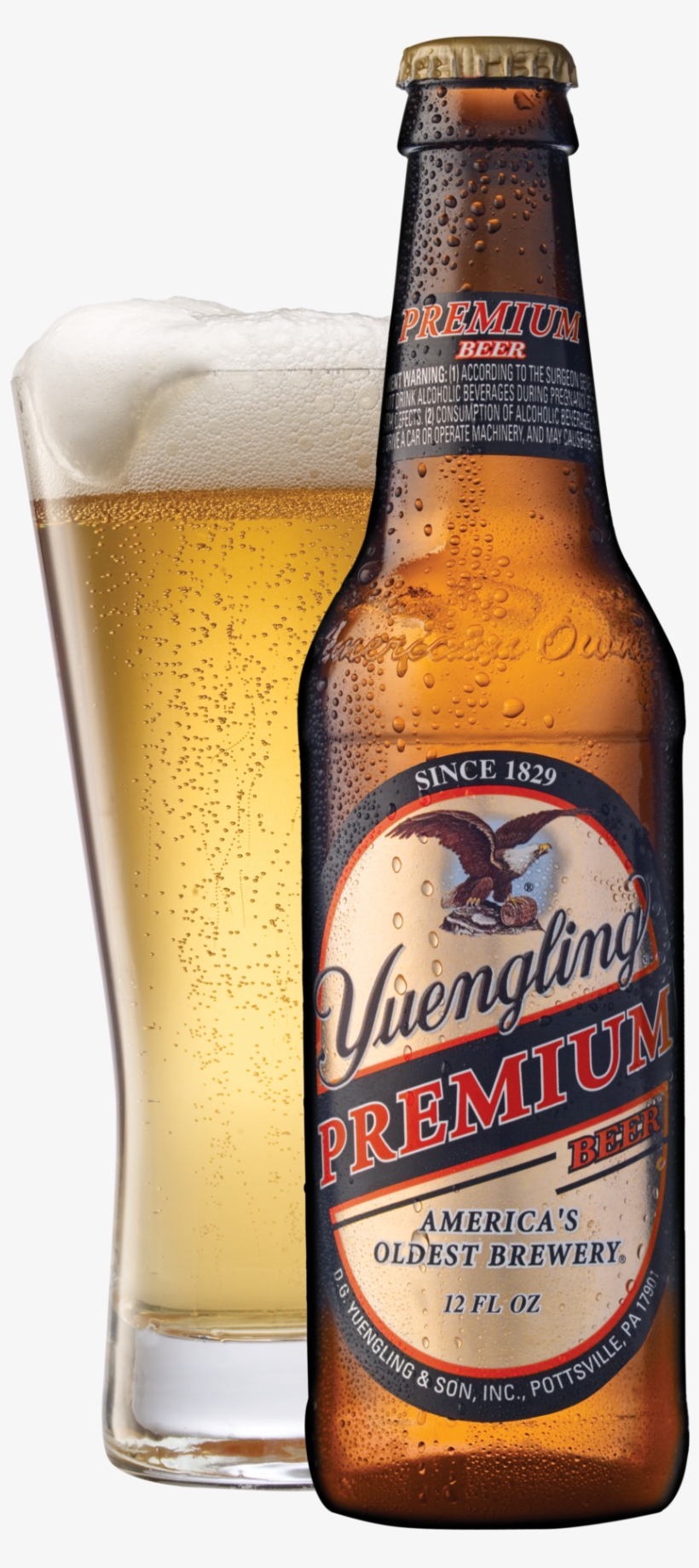 Premium - Free Transparent PNG Download - PNGkey