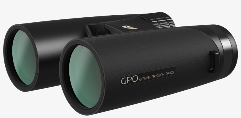 Quick View - Free Transparent PNG Download - PNGkey