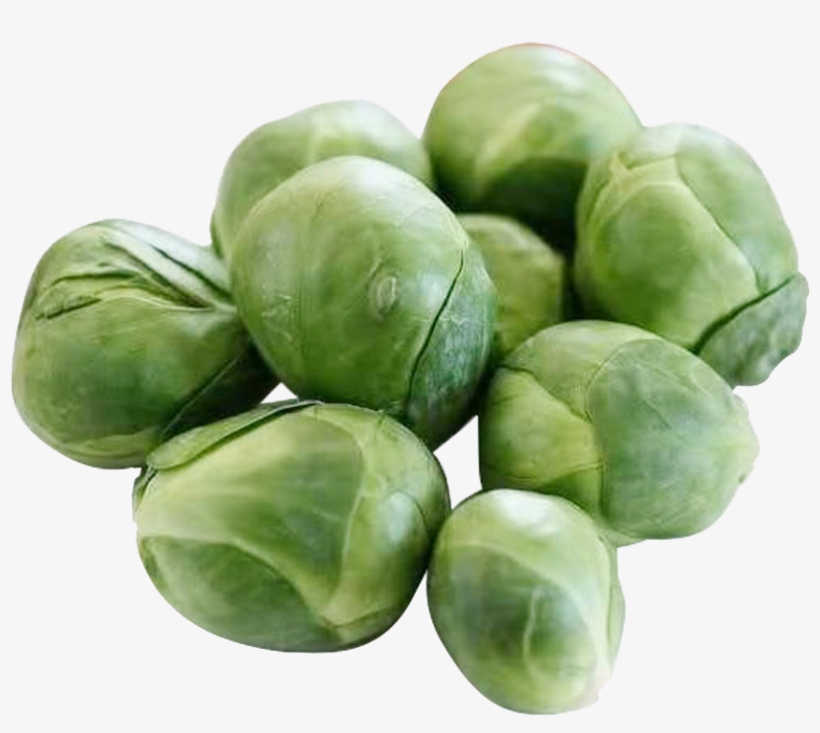 Brussels Sprout - Free Transparent PNG Download - PNGkey
