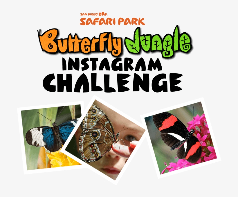 Sample Logo - Free Transparent PNG Download - PNGkey