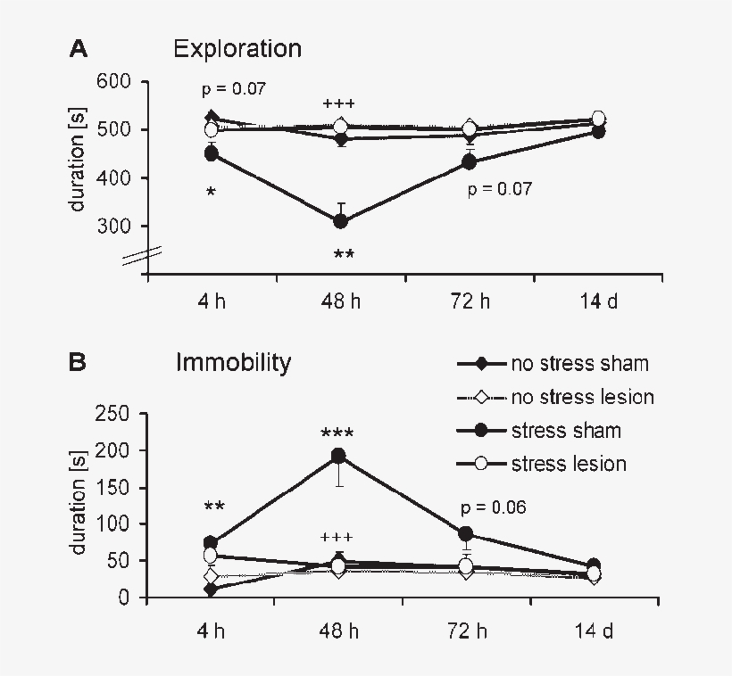Rprh Lesions On The Stress-induced Behavior Changes - Free Transparent ...