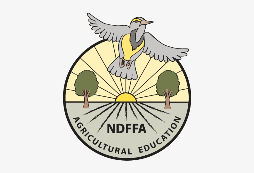 Logos - Free Transparent PNG Download - PNGkey