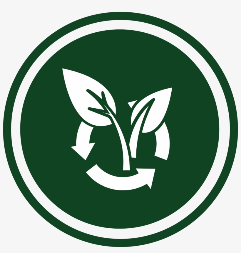 Sustainability Management Green - Free Transparent PNG Download - PNGkey