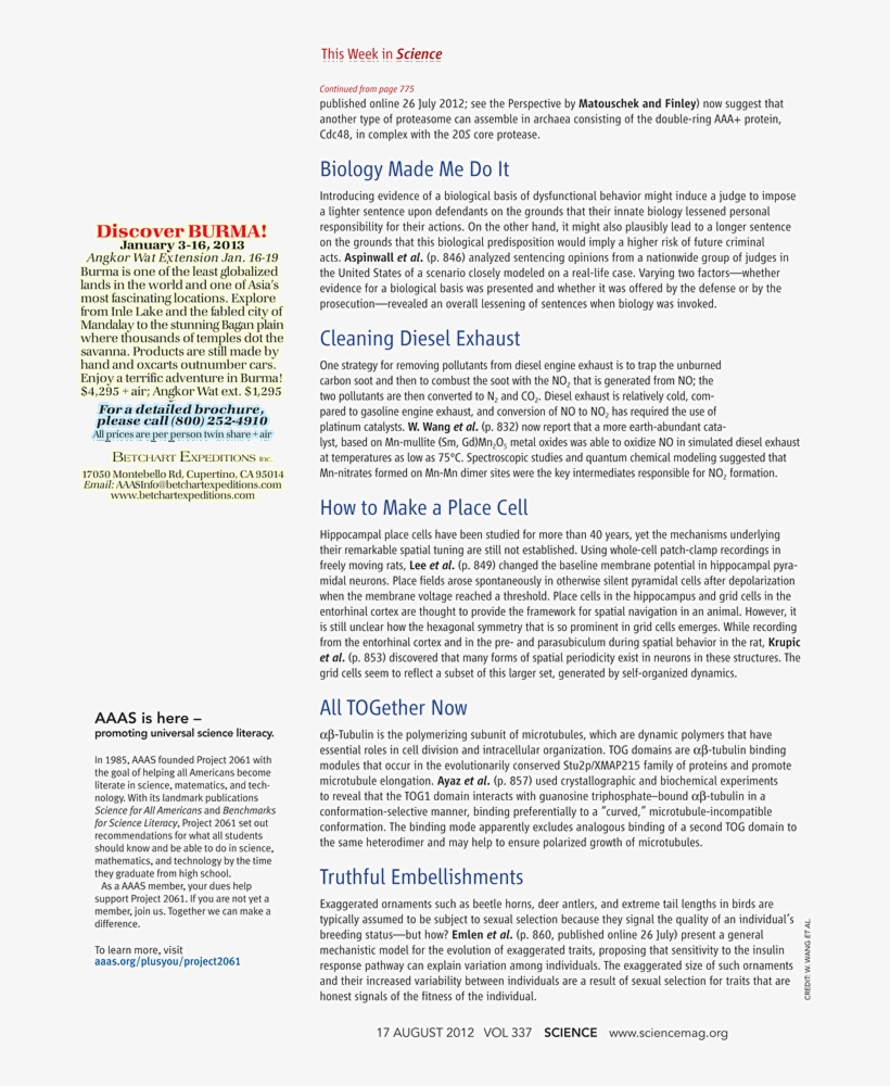 Embellishments Png - Free Transparent PNG Download - PNGkey