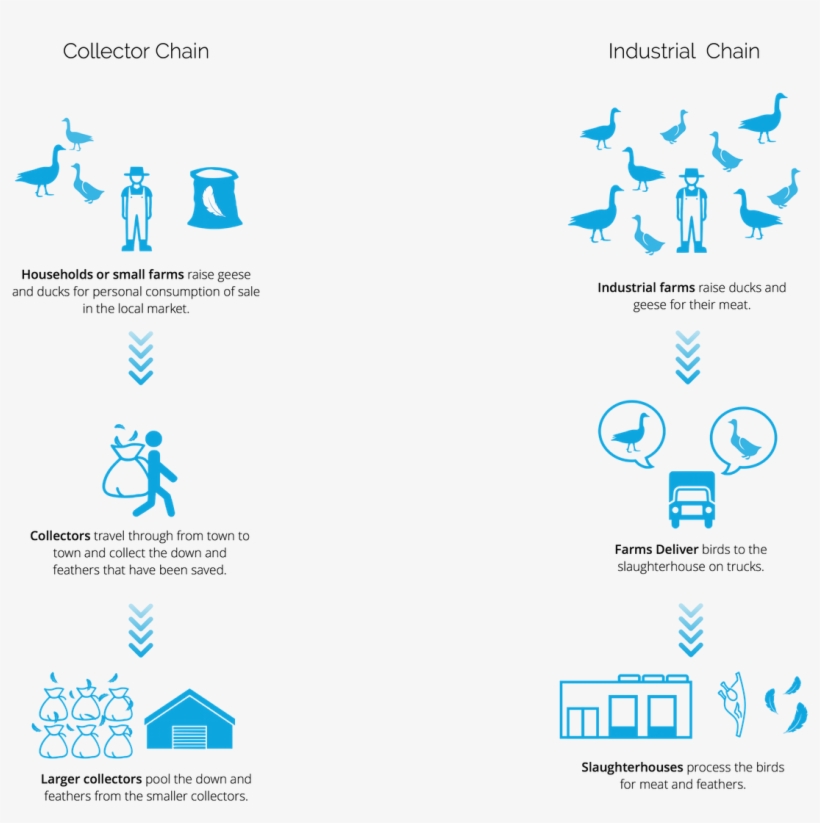 Map - Free Transparent PNG Download - PNGkey