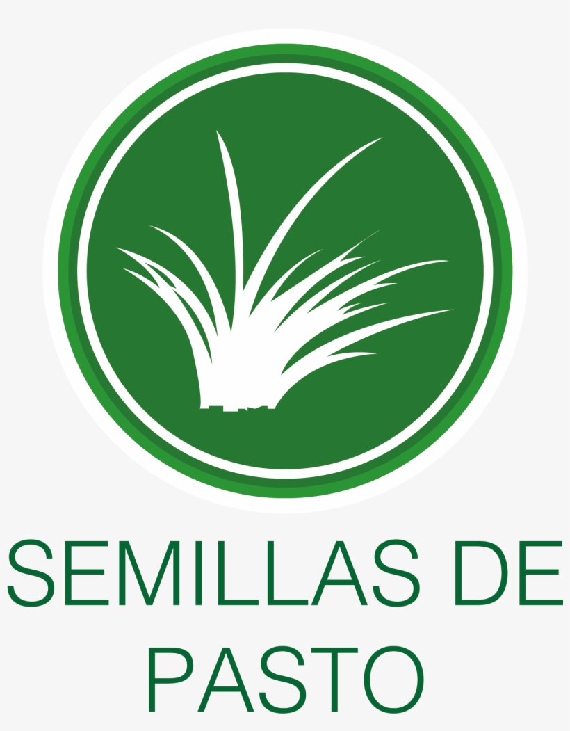Pasto Png - Free Transparent PNG Download - PNGkey