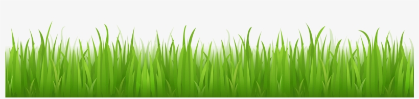 Green Grass Png Image Background - Grass With No Background - Free ...