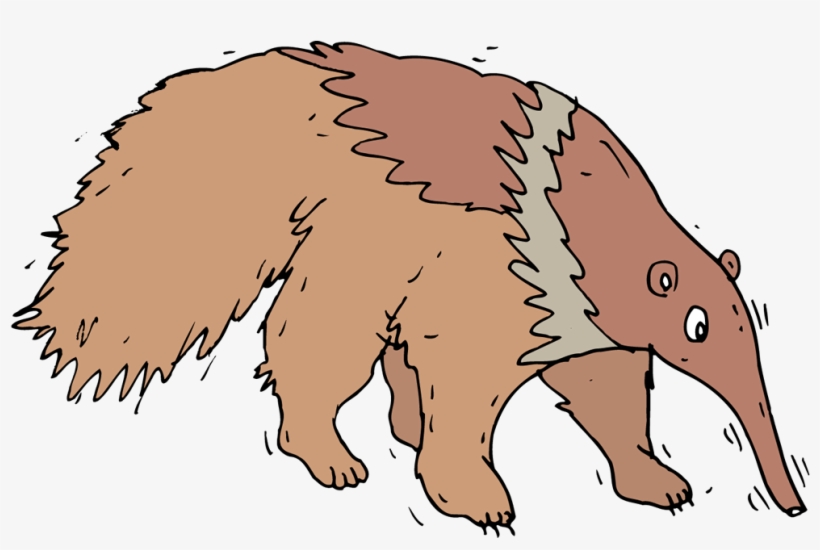 Anteater - Free Transparent PNG Download - PNGkey