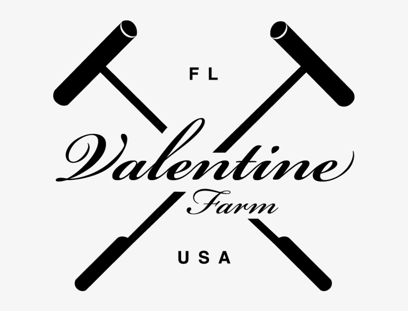 Principles Of Design Unity - Free Transparent PNG Download - PNGkey