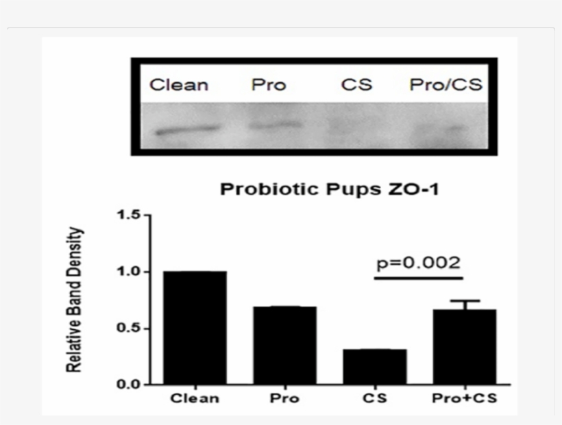 Alone Png - Free Transparent PNG Download - PNGkey