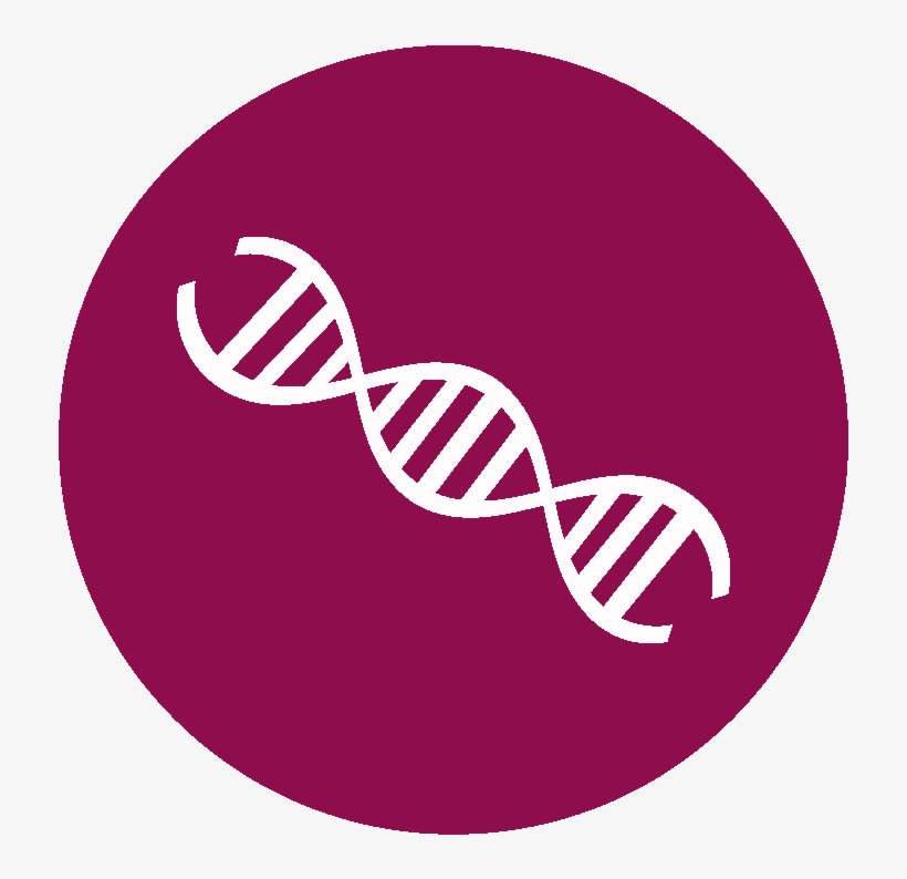 Dna Icon Png - Free Transparent PNG Download - PNGkey