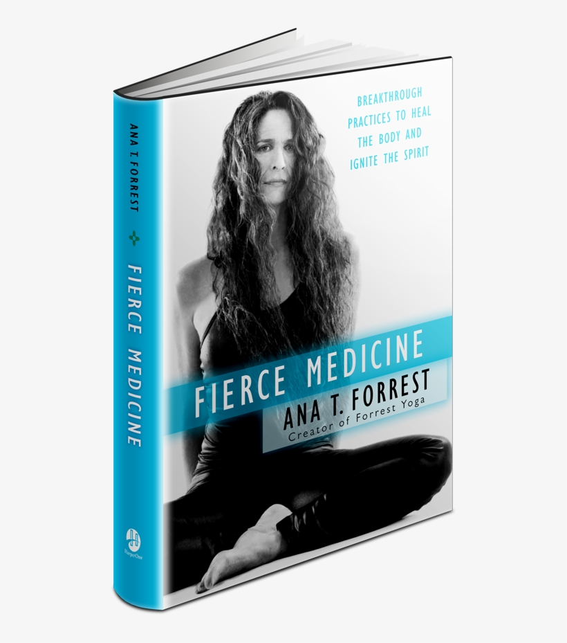 Forrest Png - Free Transparent PNG Download - PNGkey