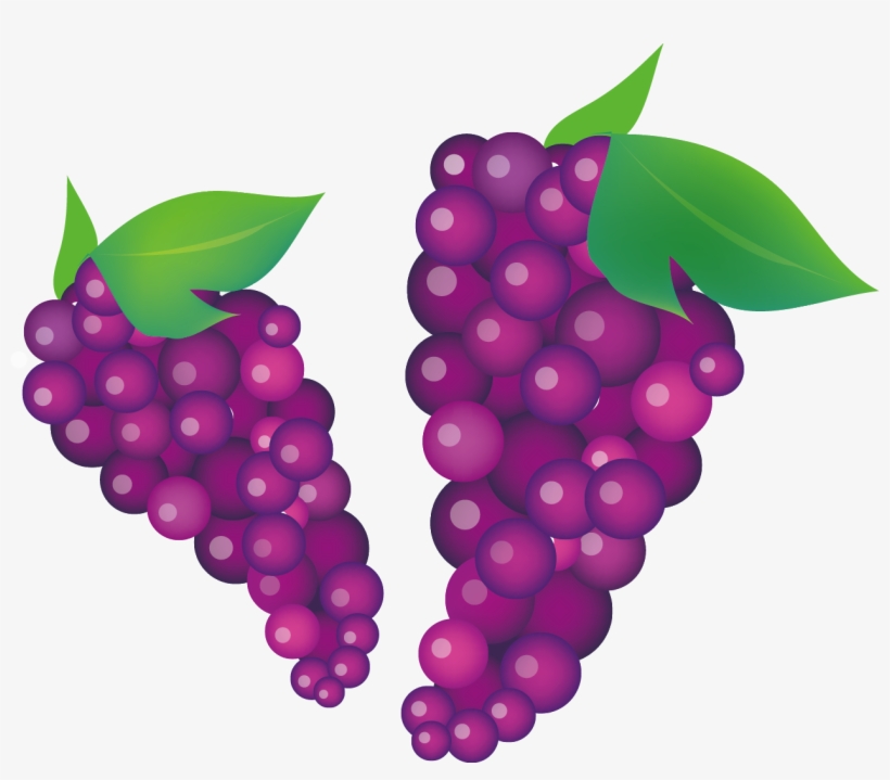 Grapevine Vector Icon - Free Transparent PNG Download - PNGkey