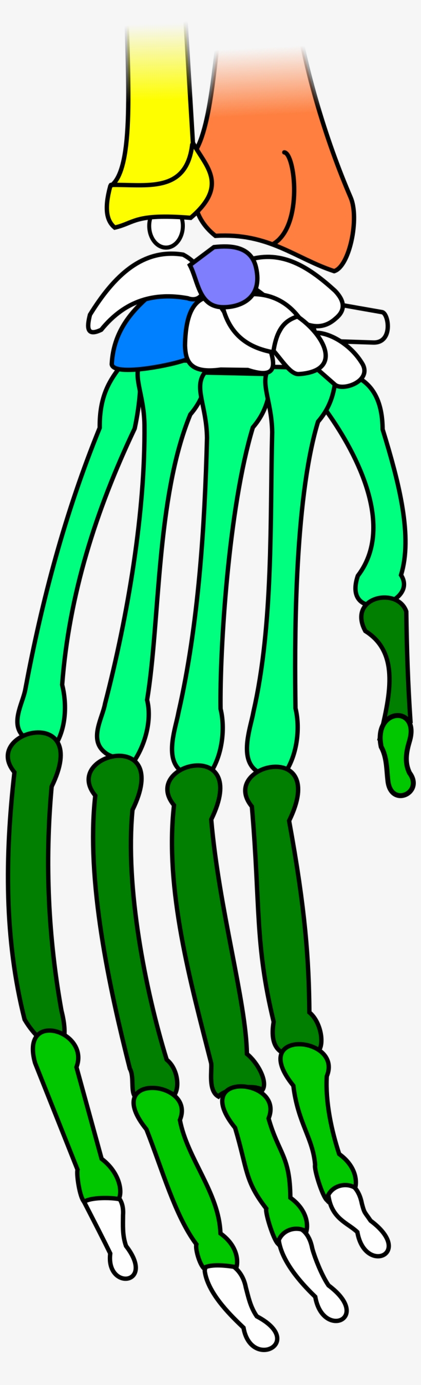 Open - Free Transparent PNG Download - PNGkey