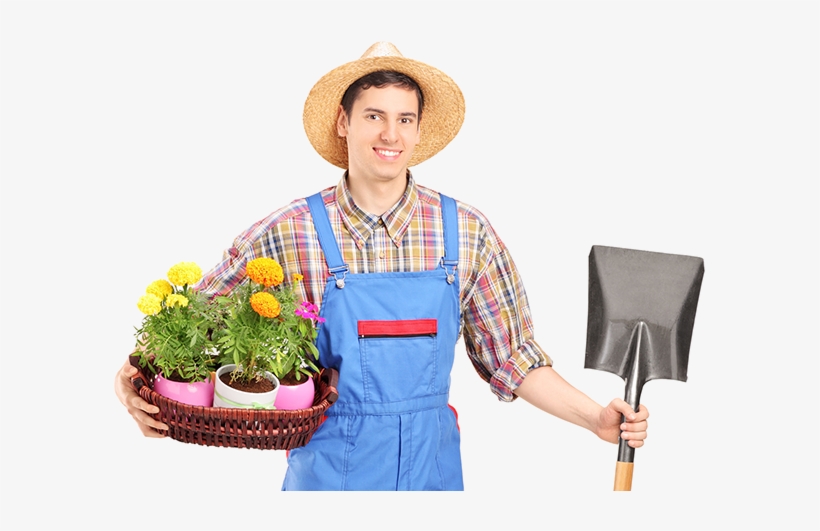 Prev - Free Transparent PNG Download - PNGkey