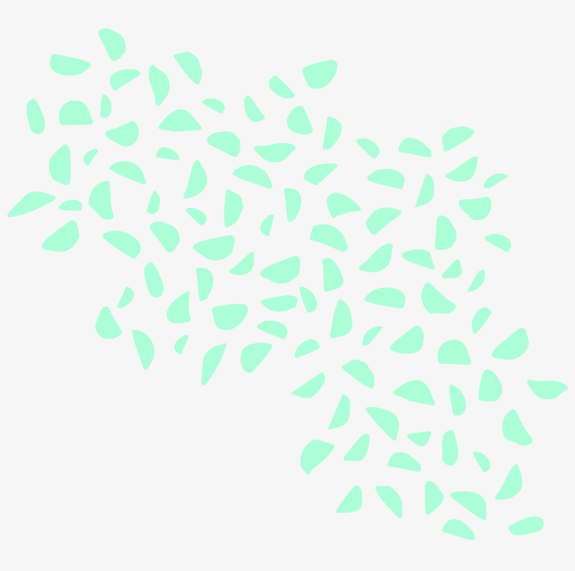 Magpie Brave - Free Transparent PNG Download - PNGkey