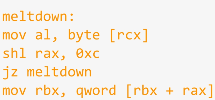 Nutshell Png - Free Transparent PNG Download - PNGkey