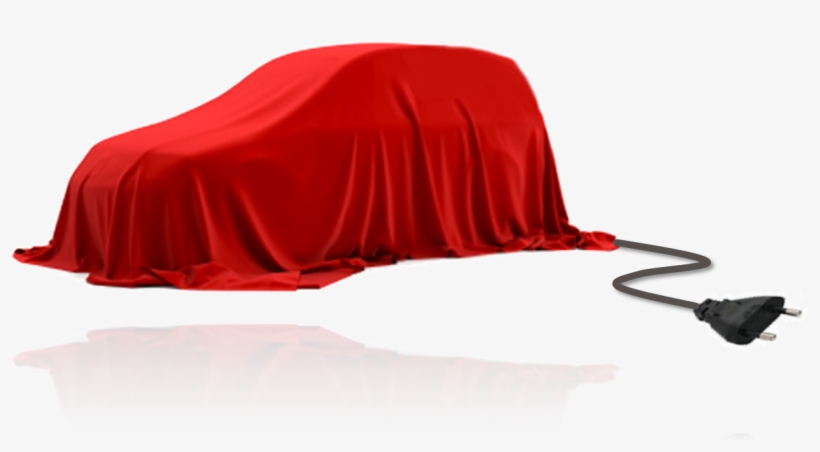 Nutshell Png - Free Transparent PNG Download - PNGkey