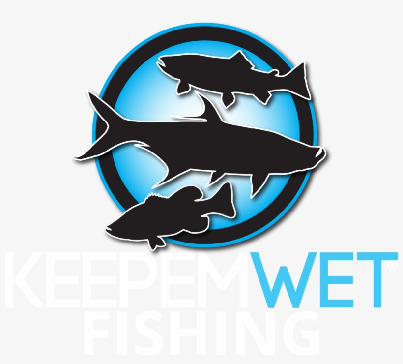Keep Em Wet - Free Transparent PNG Download - PNGkey
